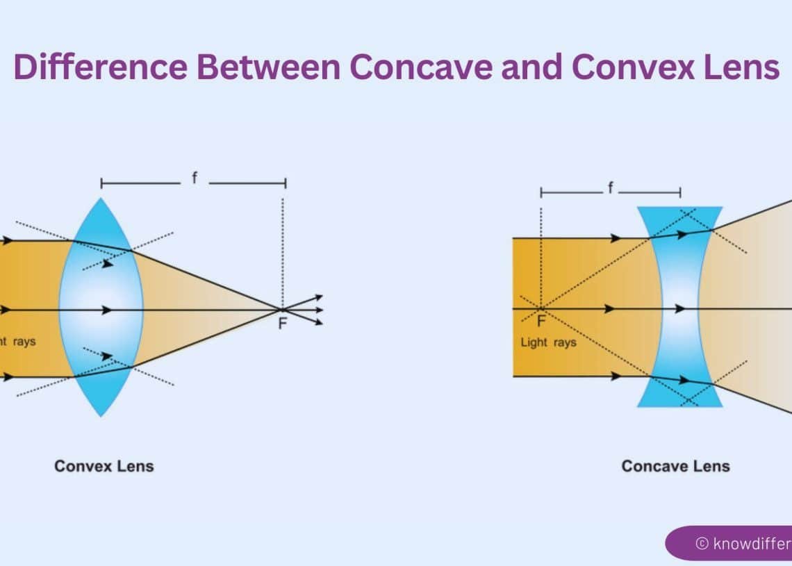 Difference Between Vectored and Non-Vectored Interrupts